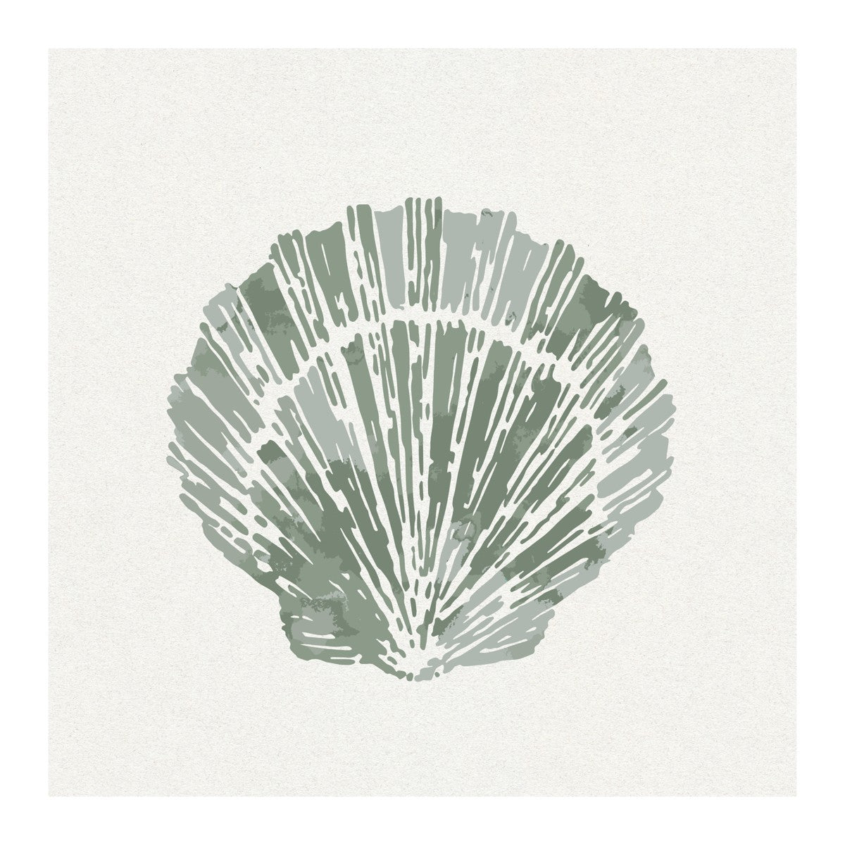 Sage Green Scallop Shell Art Print | Shell & Coral Art – Beach House Art