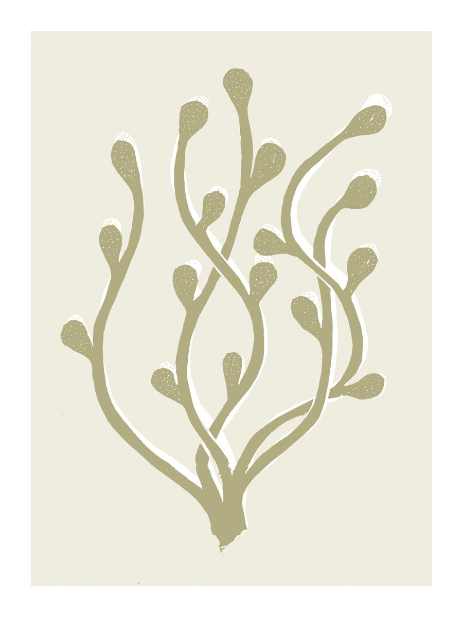 Abstract Neutral Seaweed Art Print No 2 | Coastal Graphic Wall Decor ...