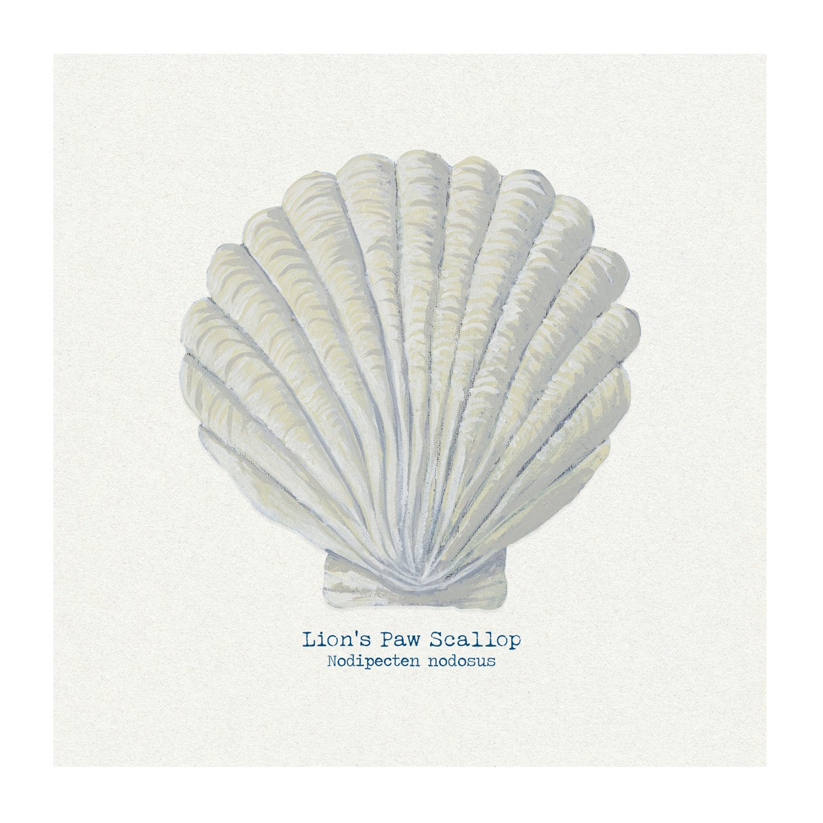 Hand-painted Scallop Shell Art Print | Natural Background – Beach House Art