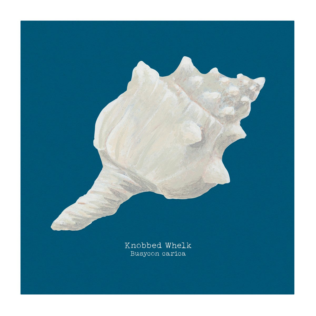 Hand-painted Whelk Shell Art Print | Marine Blue Background – Beach ...