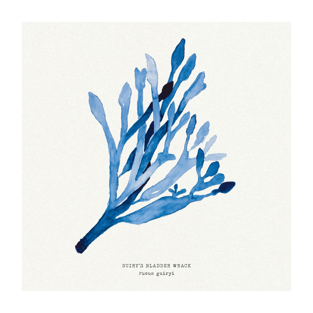 Indigo Guiry's Special – Beach House Art