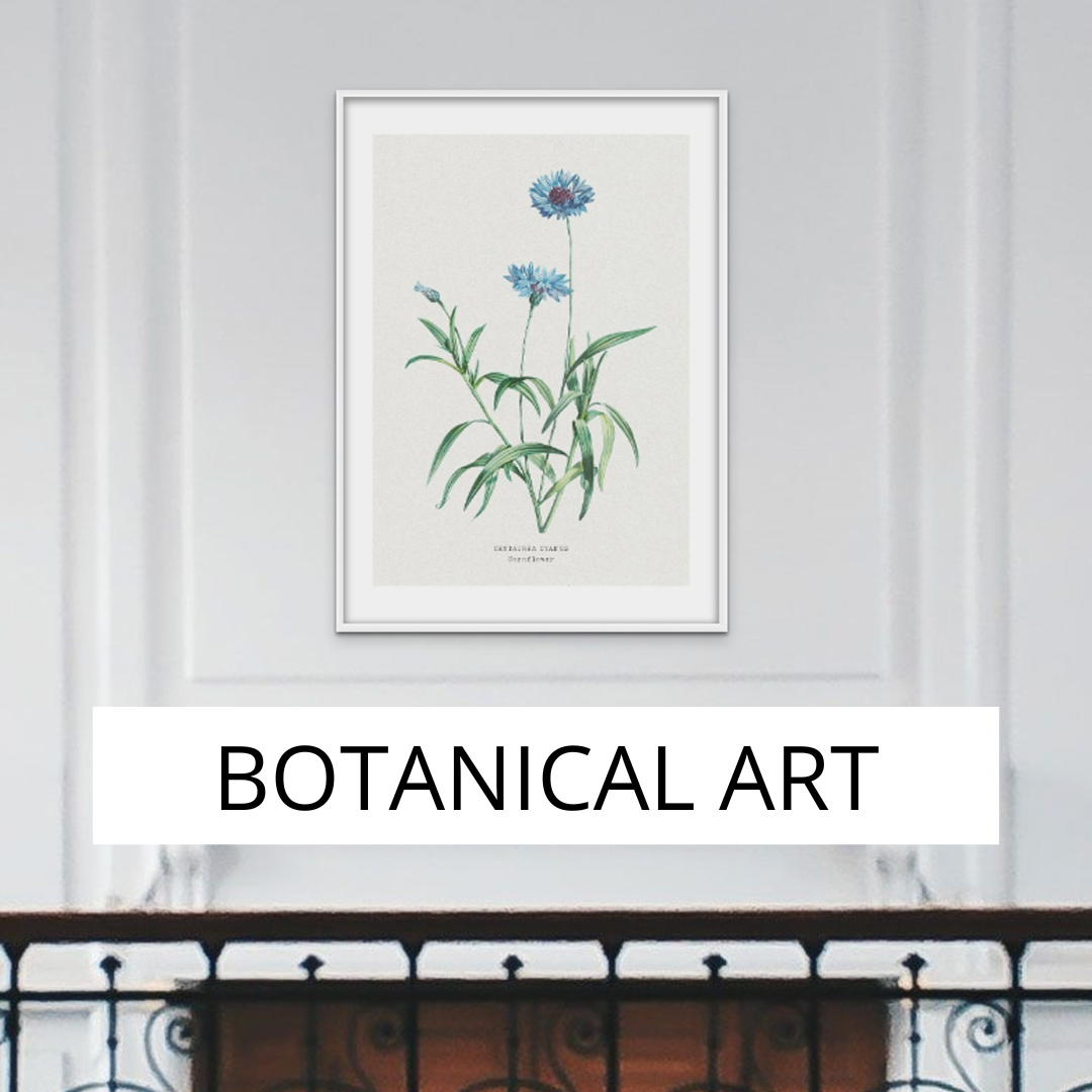 Vintage Botanical Prints & Botanical Wall Art – Beach House Art