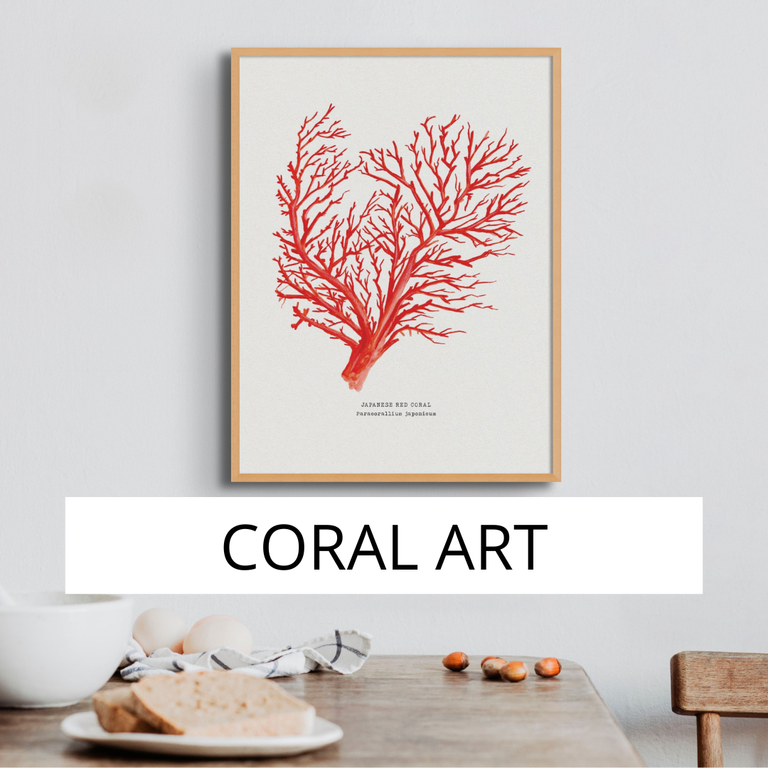 Coral Wall Art and Coral Prints - Beach House Art