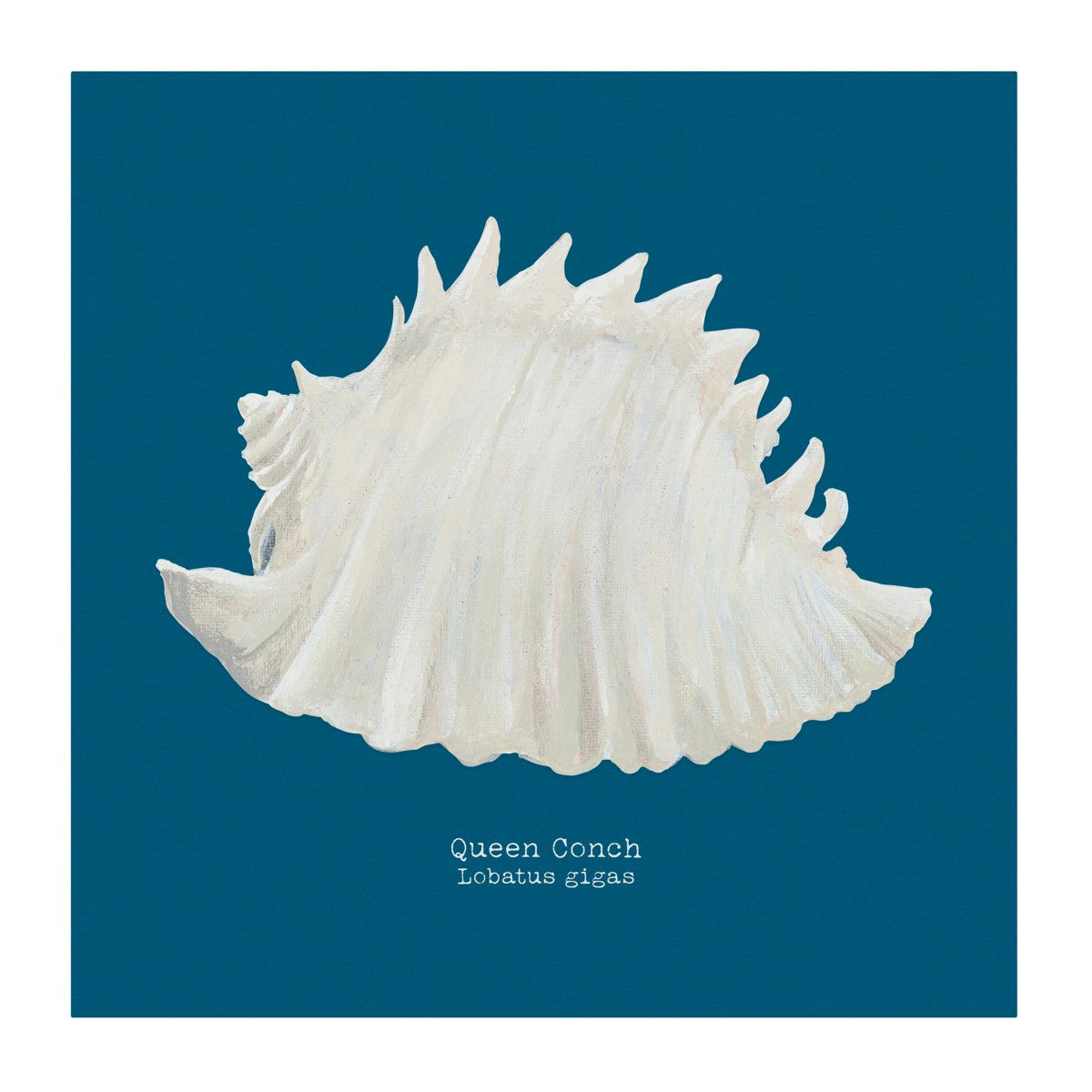 Hand-painted Conch Shell Art Print | Marine Blue Background – Beach ...