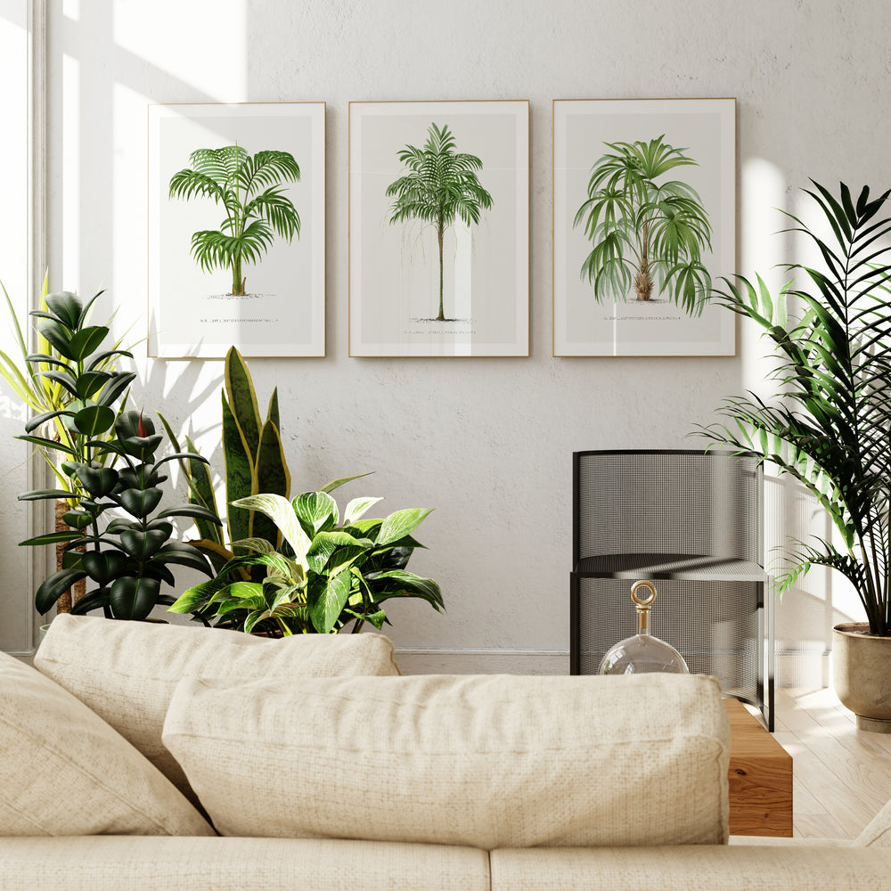Kentia Palm Tree Print | Vintage Botanical Palm Art Print - Framed ...