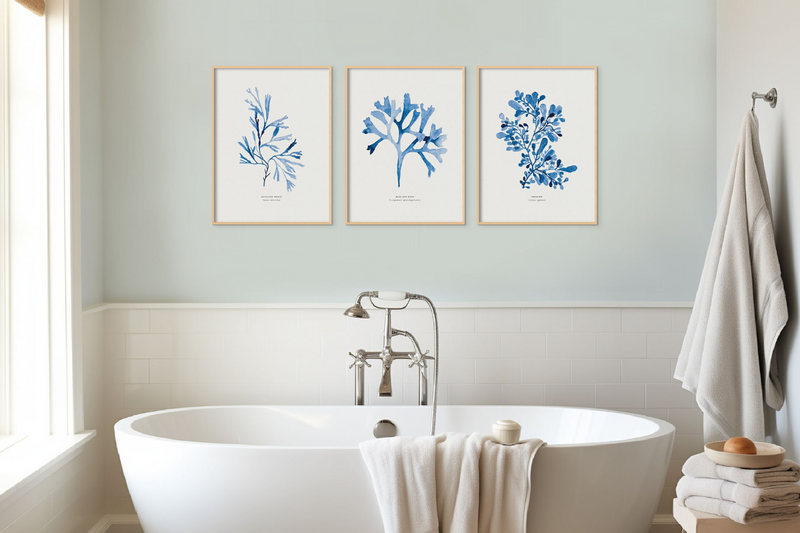 Bathroom Prints and Bathroom Art Inspiration - Beach House Art