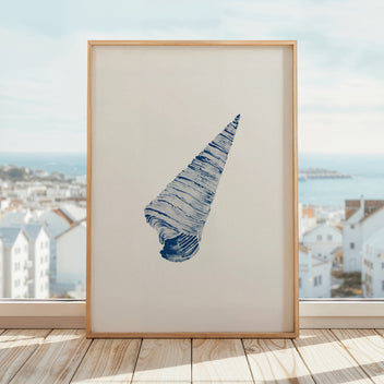 Watercolour Shell Art | Blue Cone Shell Print - Unframed – Beach House Art