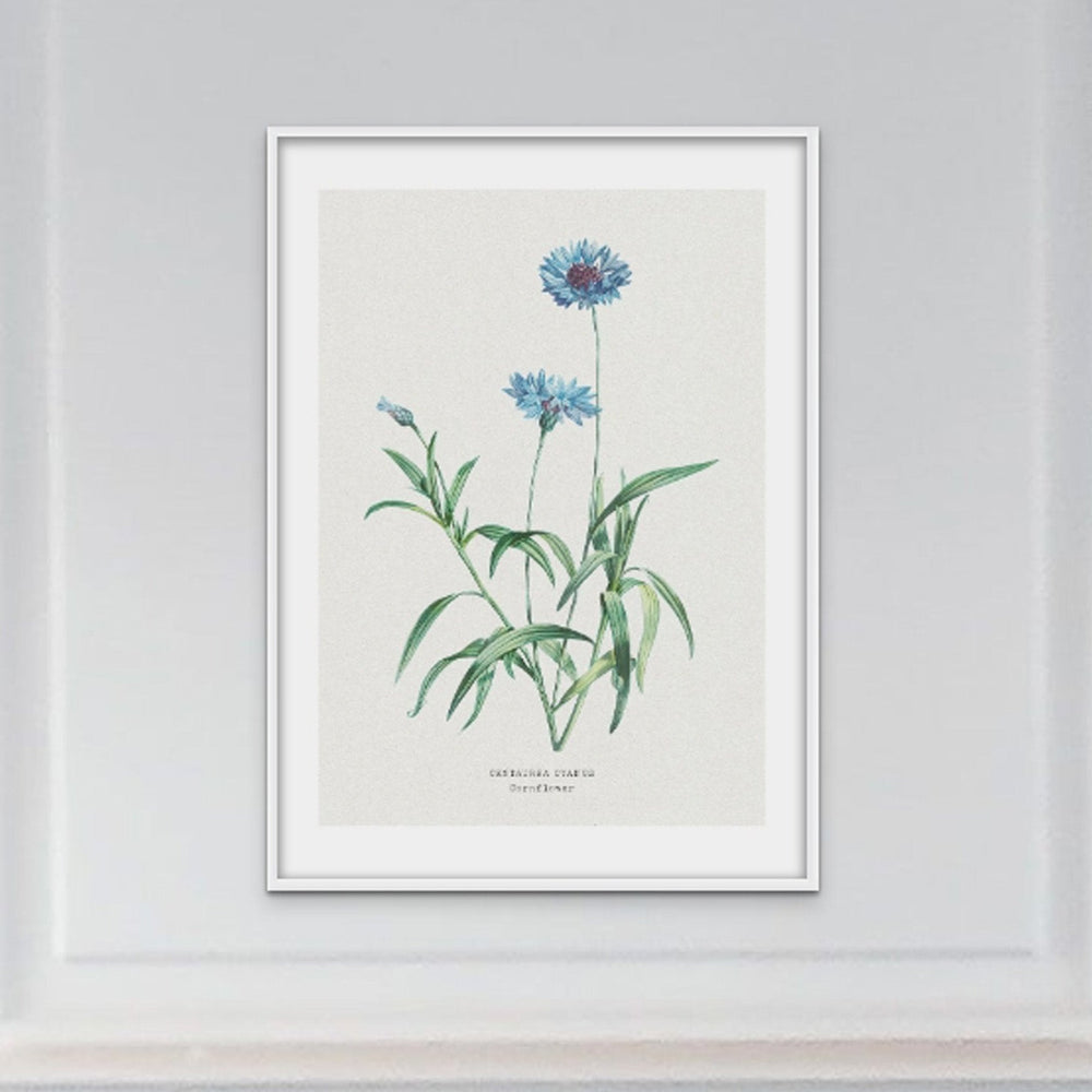 Set of 3 Indigo Seaweed Paintings - Beach House Art