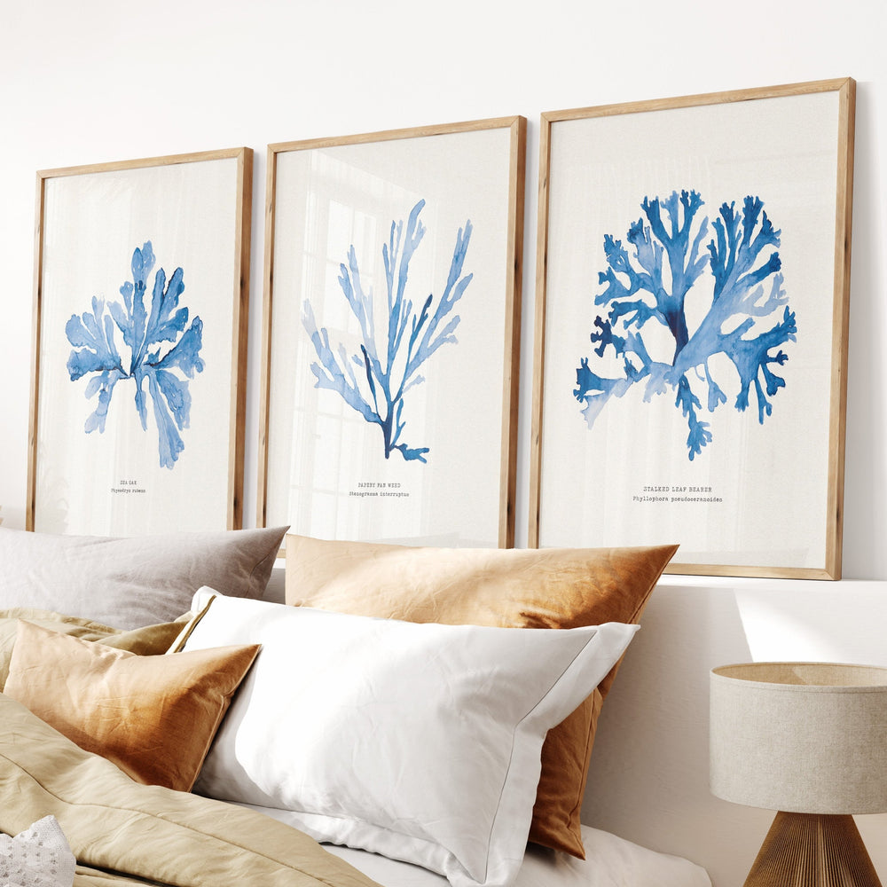 Indigo Seaweed Print Wall Art (Sea Oak) - Beach House Art