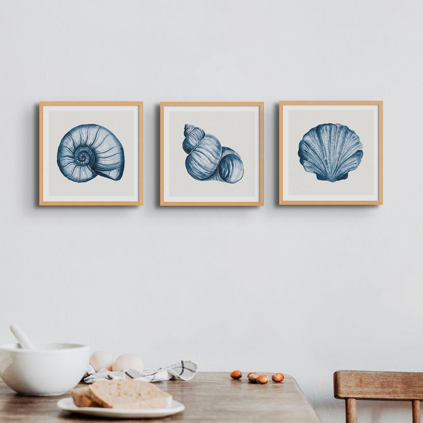 Indigo Watercolour Nautilus Shell Painting | Shell Art - Framed – Beach ...