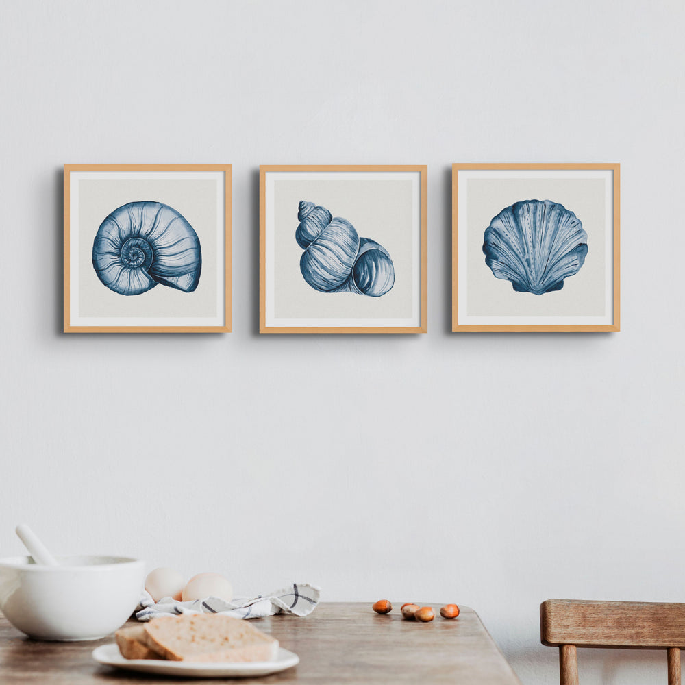 Indigo Watercolour Scallop Shell Painting | Shell Art Print - Unframed ...