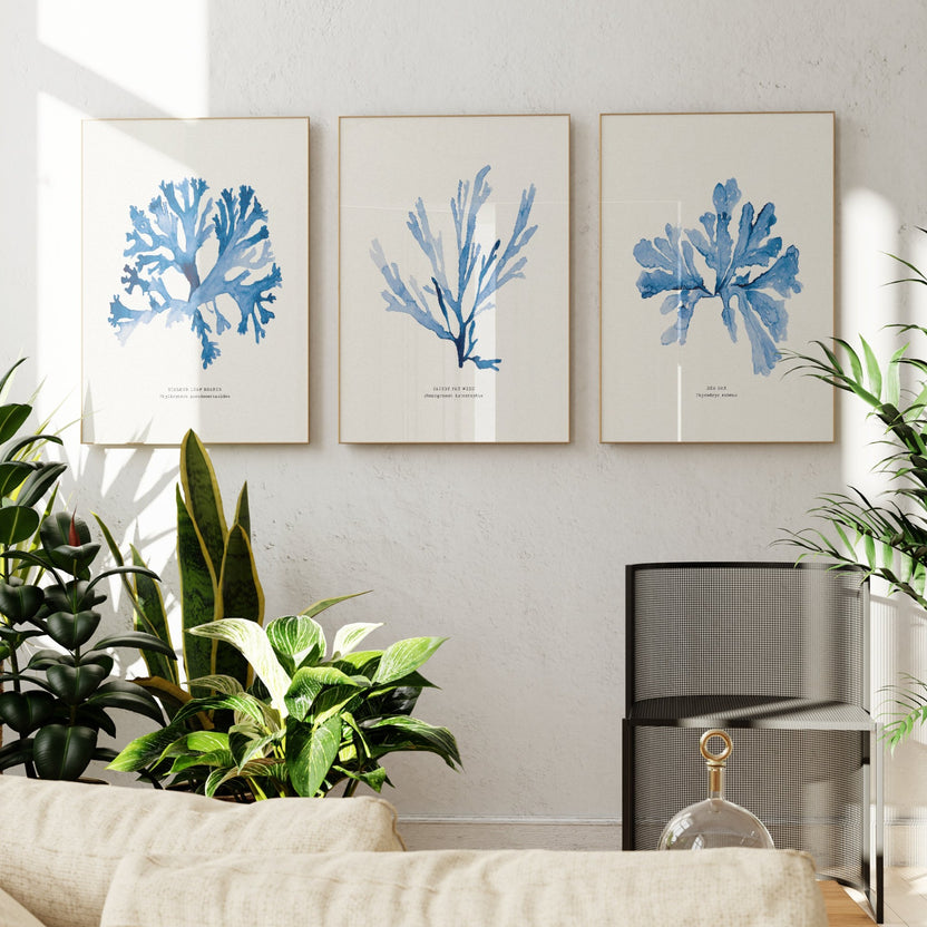 Indigo Seaweed Print Wall Art (Stalked Leaf Bearer) - Beach House Art