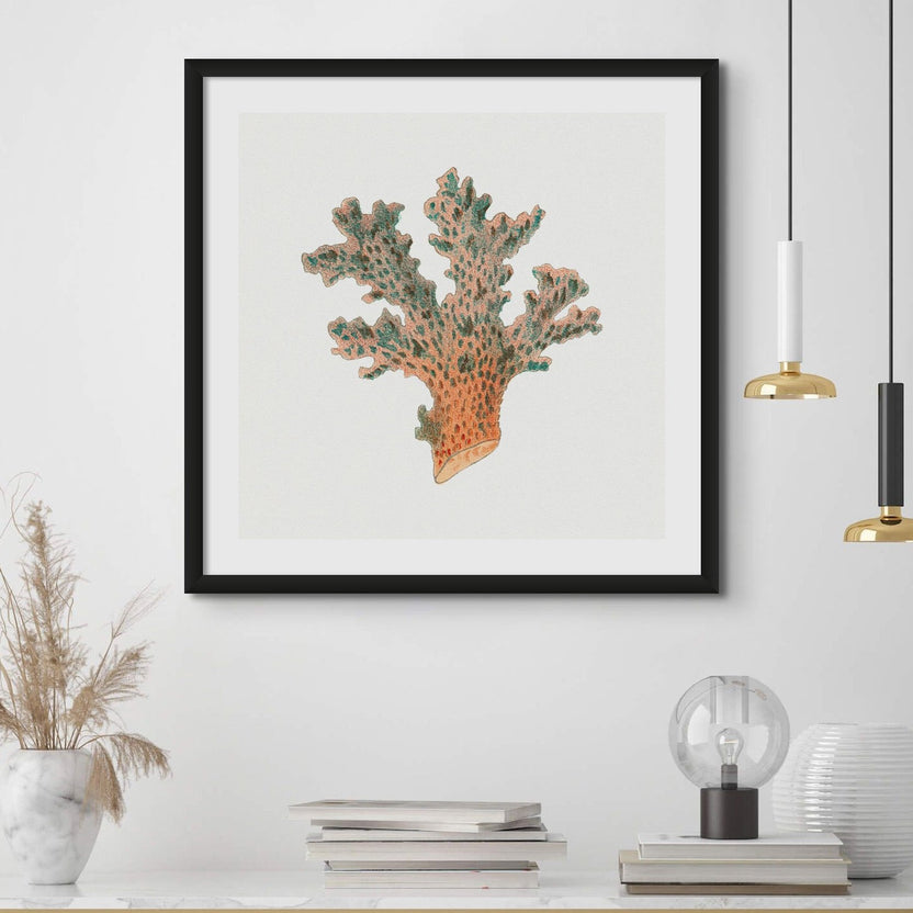 Reef Coral Print No 2 | Vintage Coral Art Print - Unframed – Beach ...