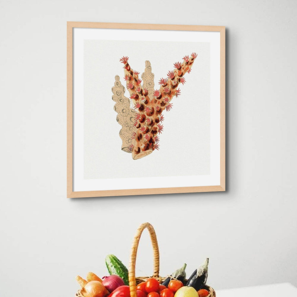 Reef Coral Print No 3 | Vintage Coral Wall Art - Unframed – Beach House Art
