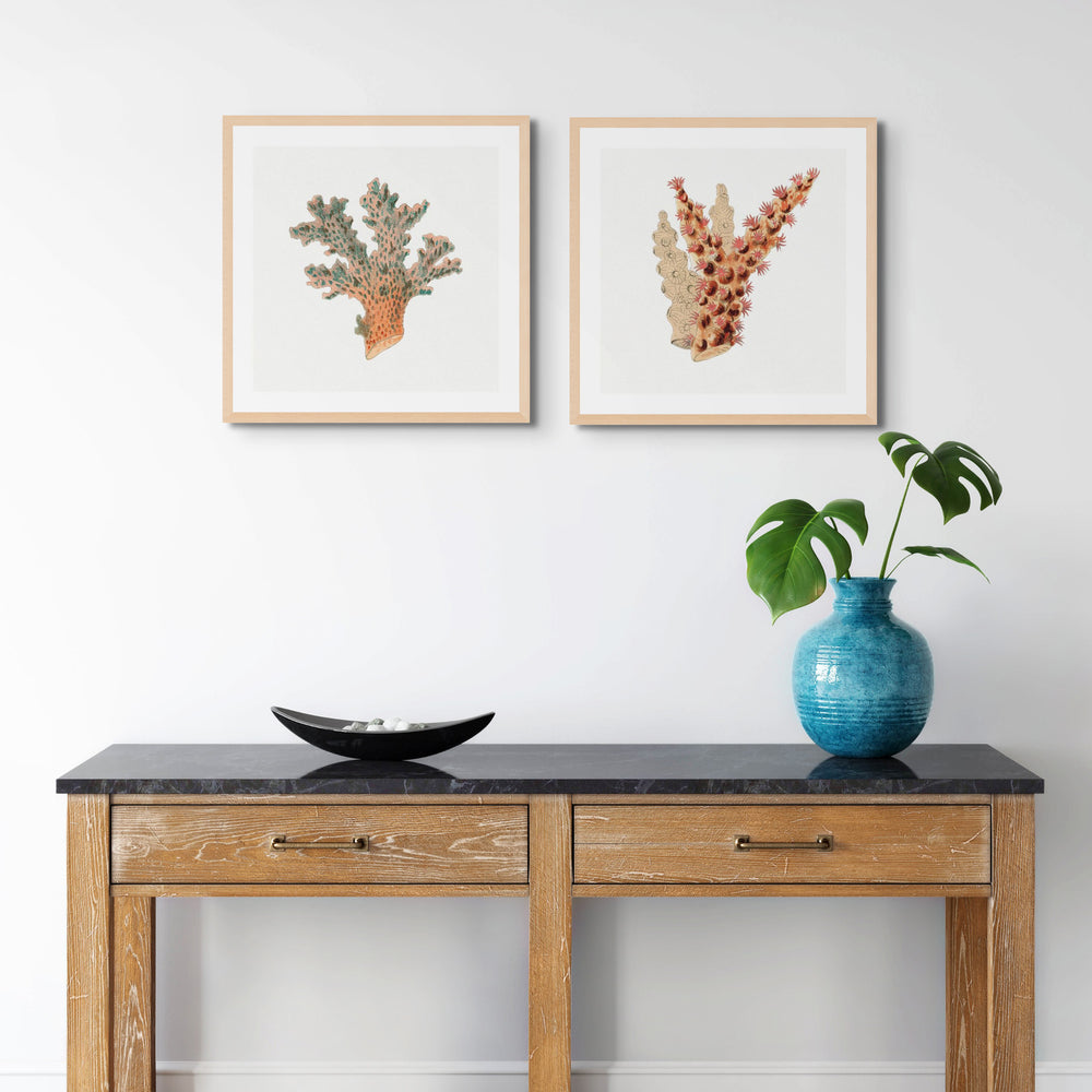 Reef Coral Print No 3 | Vintage Coral Wall Art - Unframed – Beach House Art