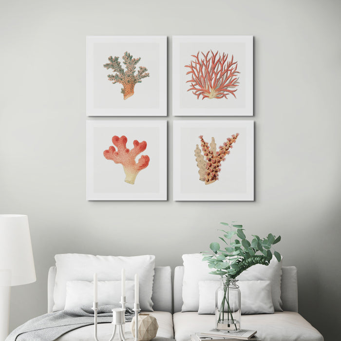 Reef Coral Print No 3 | Vintage Coral Wall Art - Unframed – Beach House Art