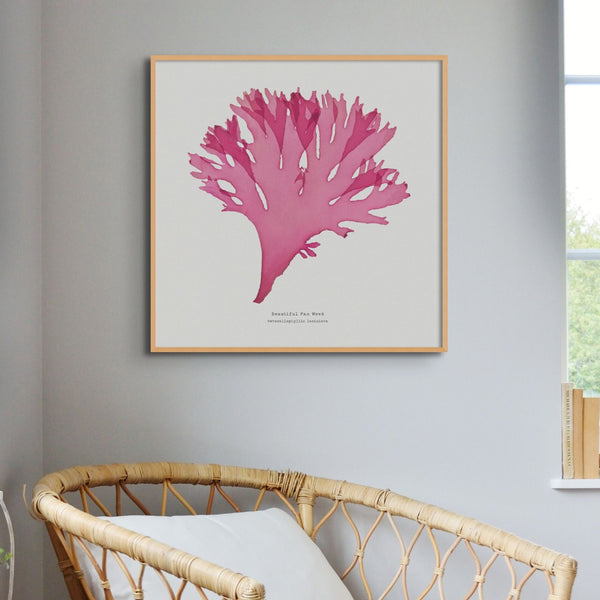 Seaweed Prints | Hand Pressed & Painted Seaweed Art | Beach House Art