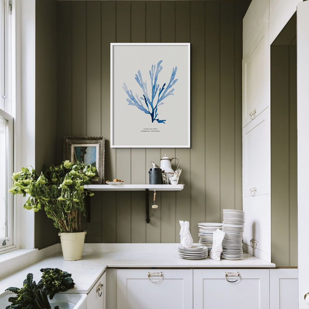 Indigo Seaweed Print Wall Art (Papery Fan Weed) - Beach House Art