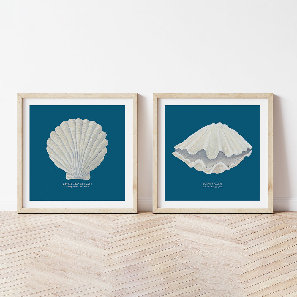 Hand-painted Clam Shell Art Print | Marine Blue Background - Unframed ...