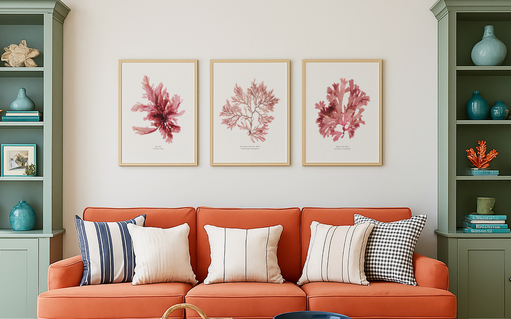 Seaweed Prints & Pressed Seaweed Art Prints | Beach House Art