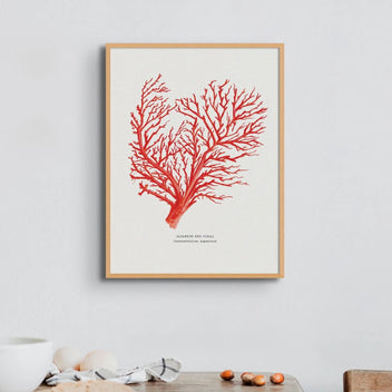 Coral Print (Red Coral No 2) Fine Art Print - Beach House Art