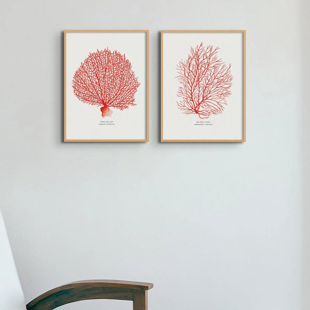 Coral Print (Red Coral No 2) Fine Art Print - Beach House Art