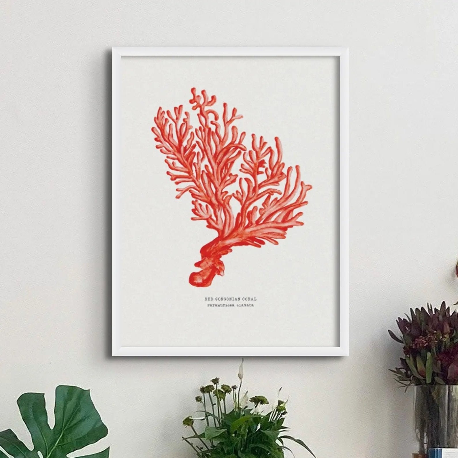 Red Coral Art