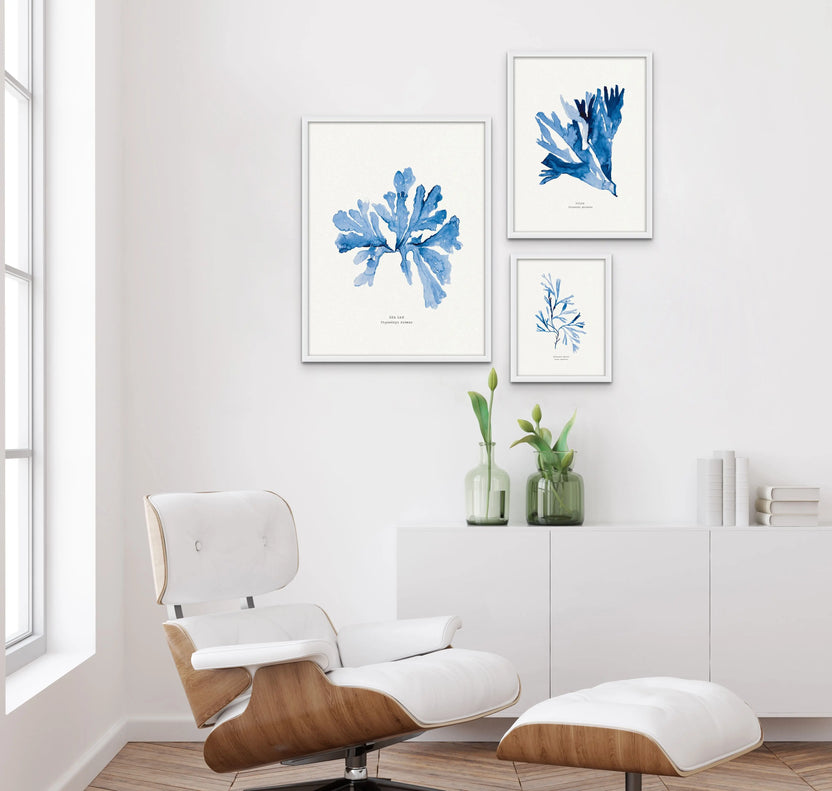 Indigo Seaweed Print Wall Art (Serrated Wrack) - Beach House Art