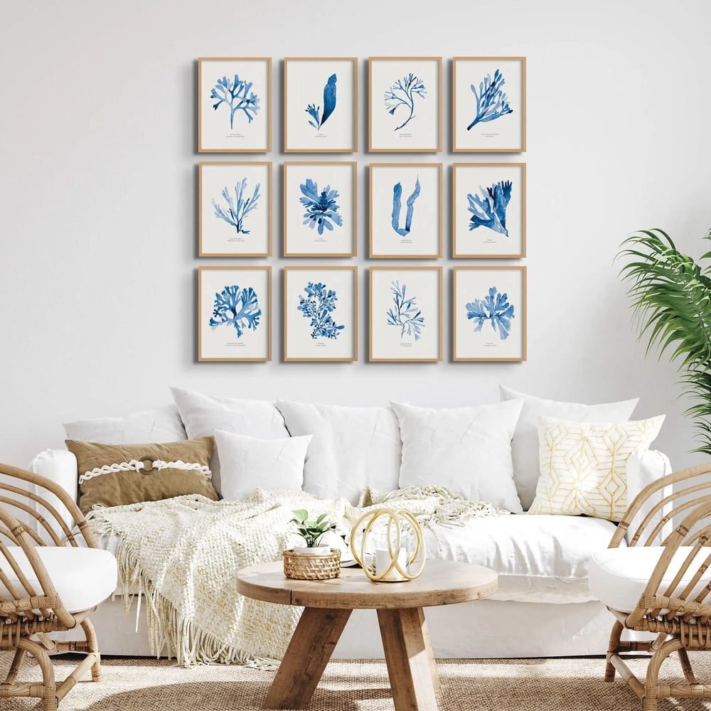 Indigo Seaweed Print Wall Art (Stalked Leaf Bearer) - Beach House Art
