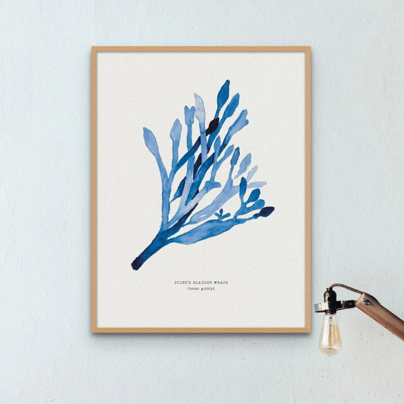 Indigo Seaweed Print Wall Art (Guiry's Bladder Wrack) - Beach House Art