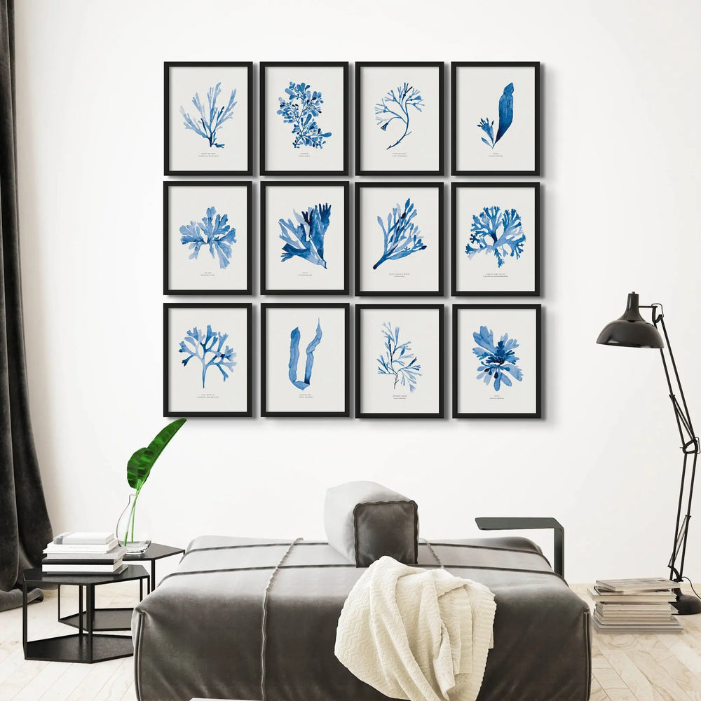 Indigo Seaweed Print Wall Art (Guiry's Bladder Wrack) - Beach House Art