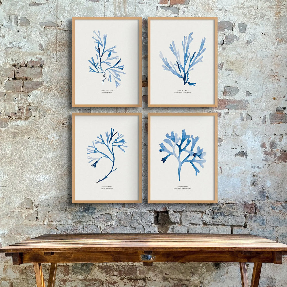 Indigo Seaweed Print Wall Art (Rosy Fan Weed) - Beach House Art