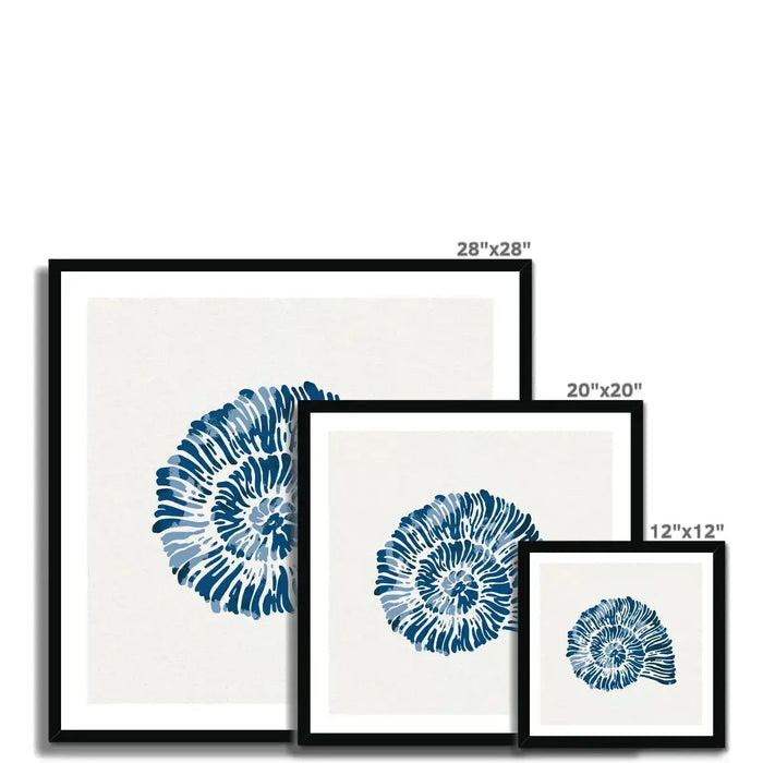 Indigo Spiral Shell Art Print | Watercolour Shell Art | Beach House Art