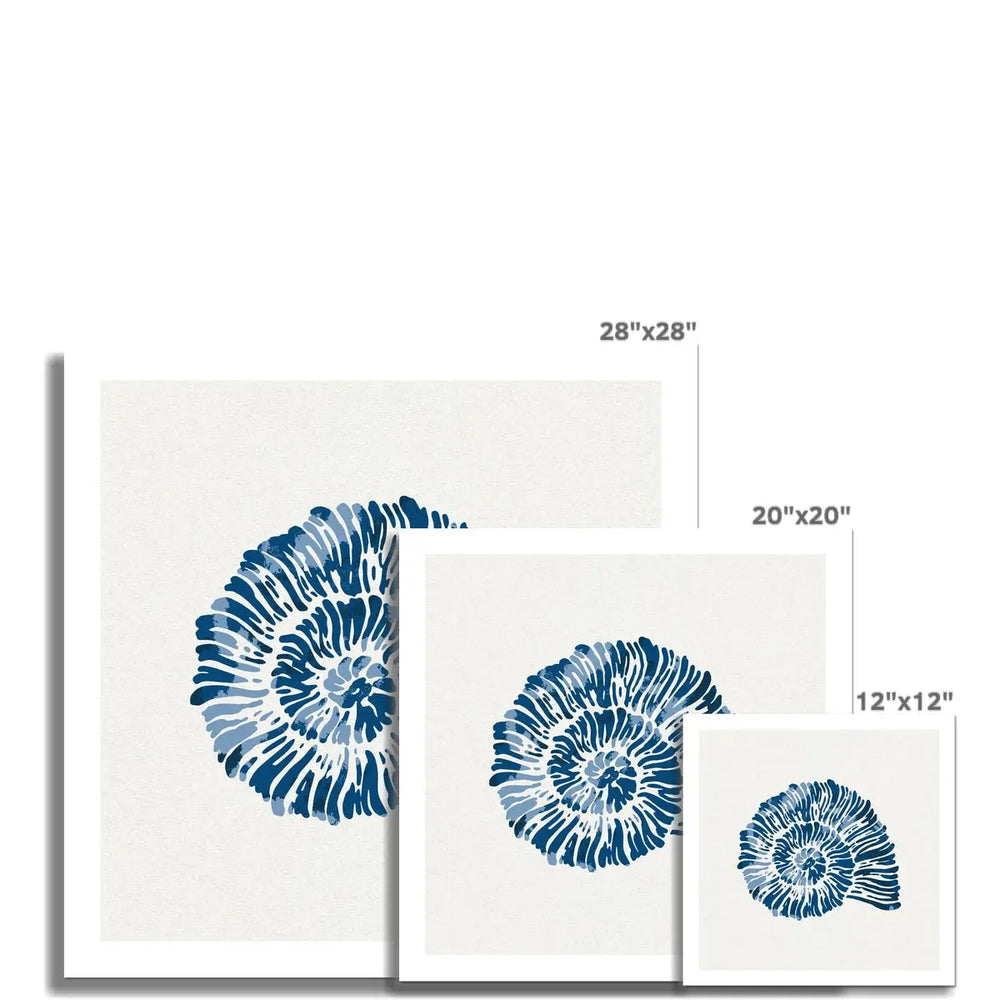Indigo Spiral Shell Art Print | Watercolour Shell | Beach House Art