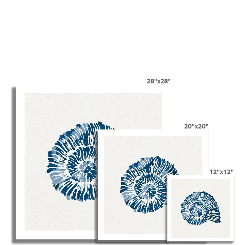 Indigo Spiral Shell Art Print | Watercolour Shell | Beach House Art