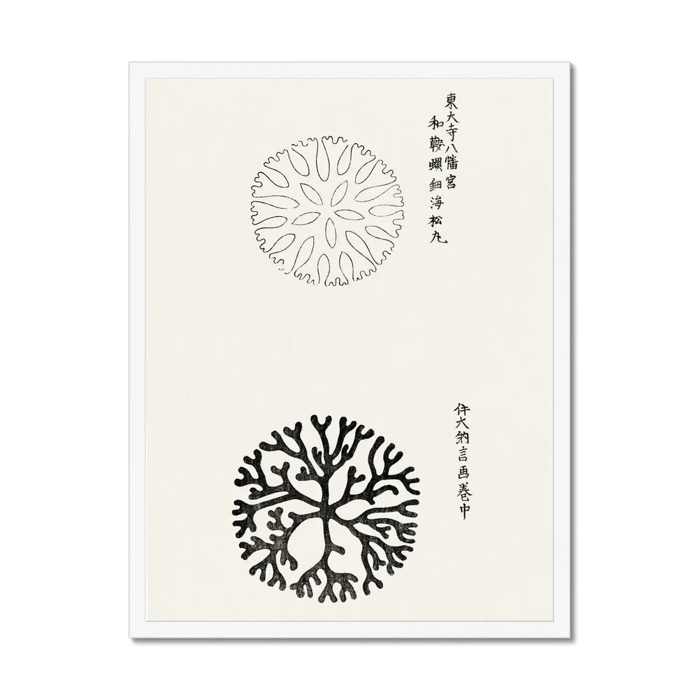 Japanese Woodblock Seaweed: Vintage Japanese Print - Beach House Art