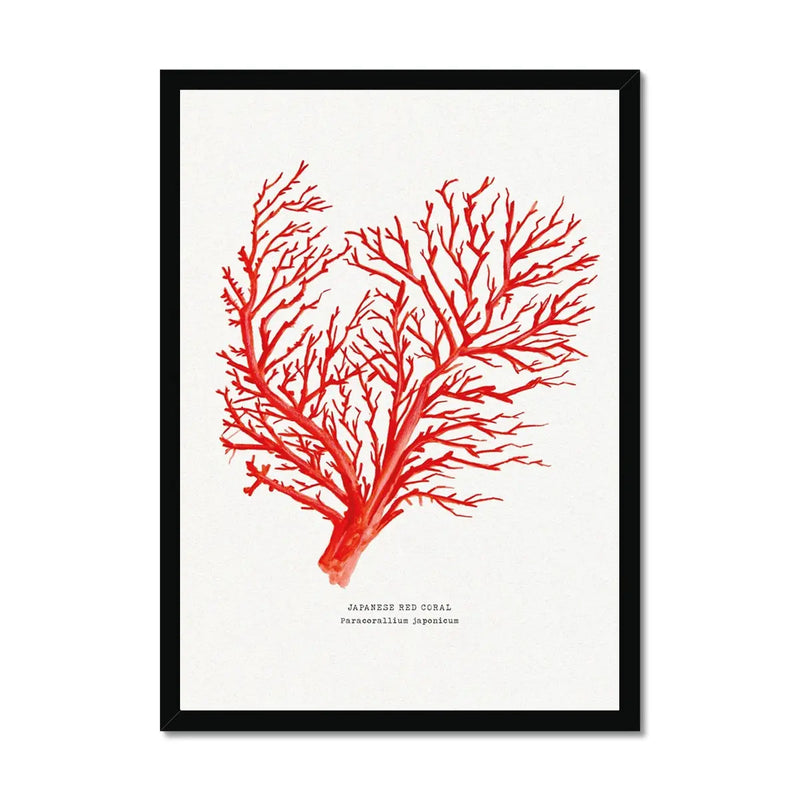 Red Coral Painting