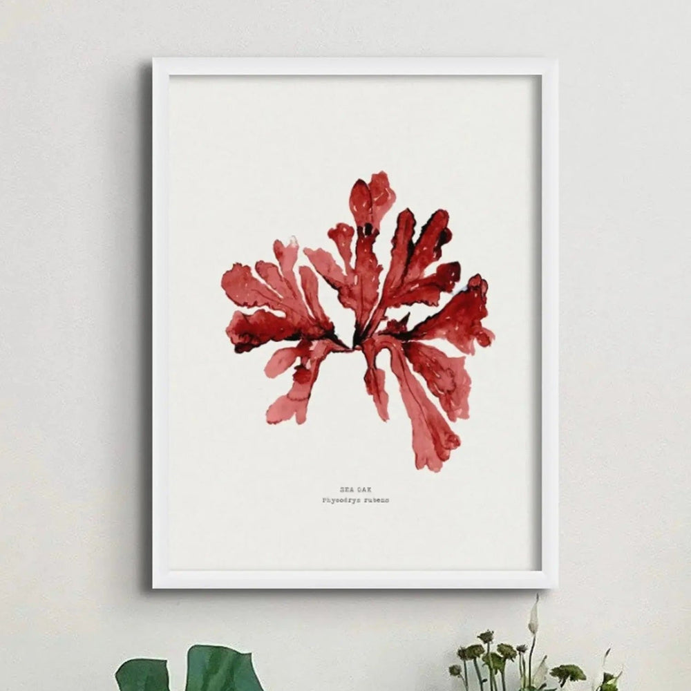 Watercolour Seaweed Print Wall Art (Sea Oak) Beach House Art