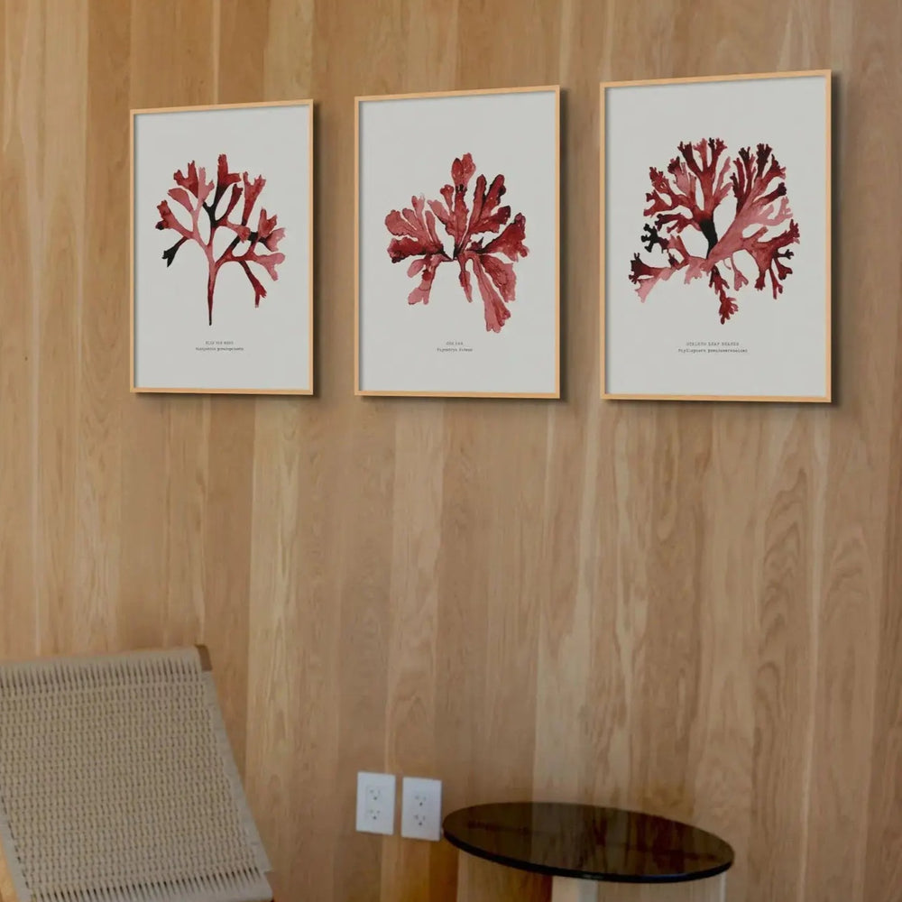 Watercolour Seaweed Print Wall Art (Sea Oak) - Beach House Art