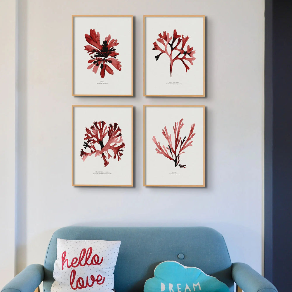 Watercolour Seaweed Print Wall Art (Dulse) - Beach House Art