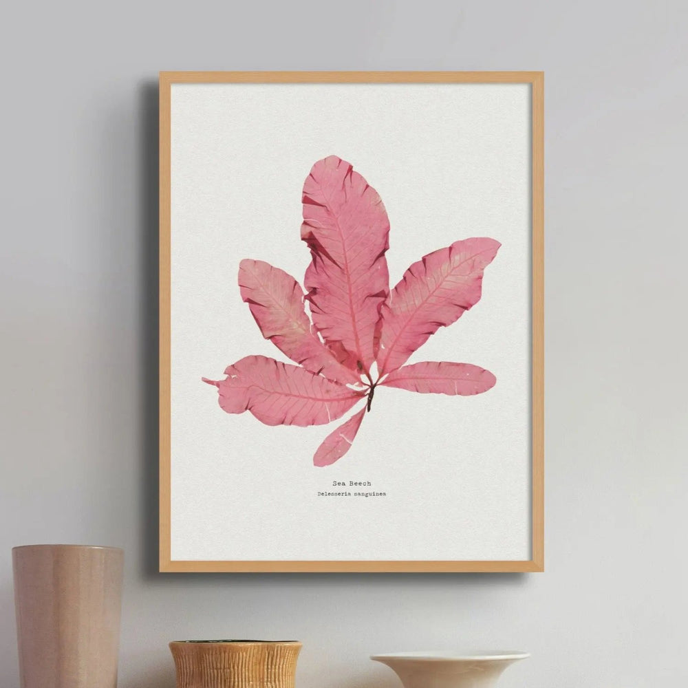 Seaweed Print Wall Art (Sea Beech) - Beach House Art