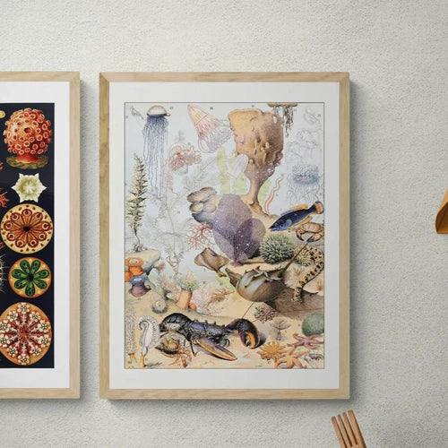 Sea Creatures - White Fine Art Print - Beach House Art