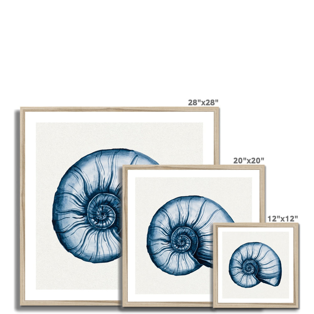 Indigo Watercolour Nautilus Shell Painting | Shell Art - Framed – Beach ...